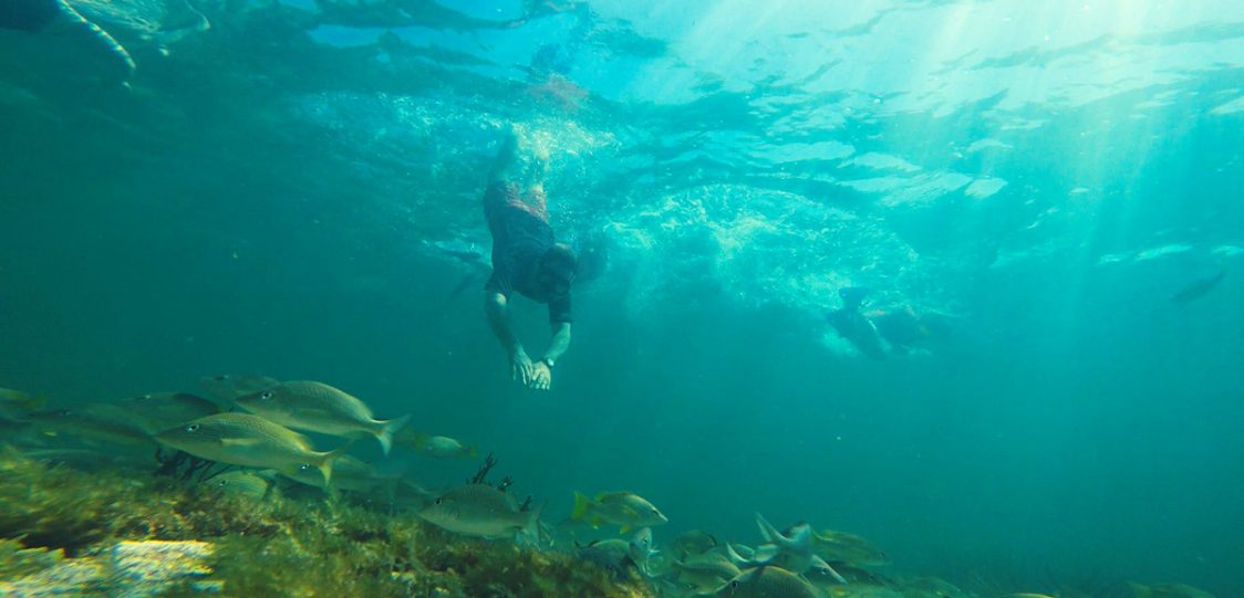 Cabo Catoche Cape - Snorkeling - Fishing Tour Shared - Holbox Adventure